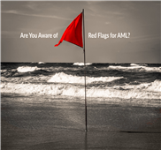 AML Training on Red Flags